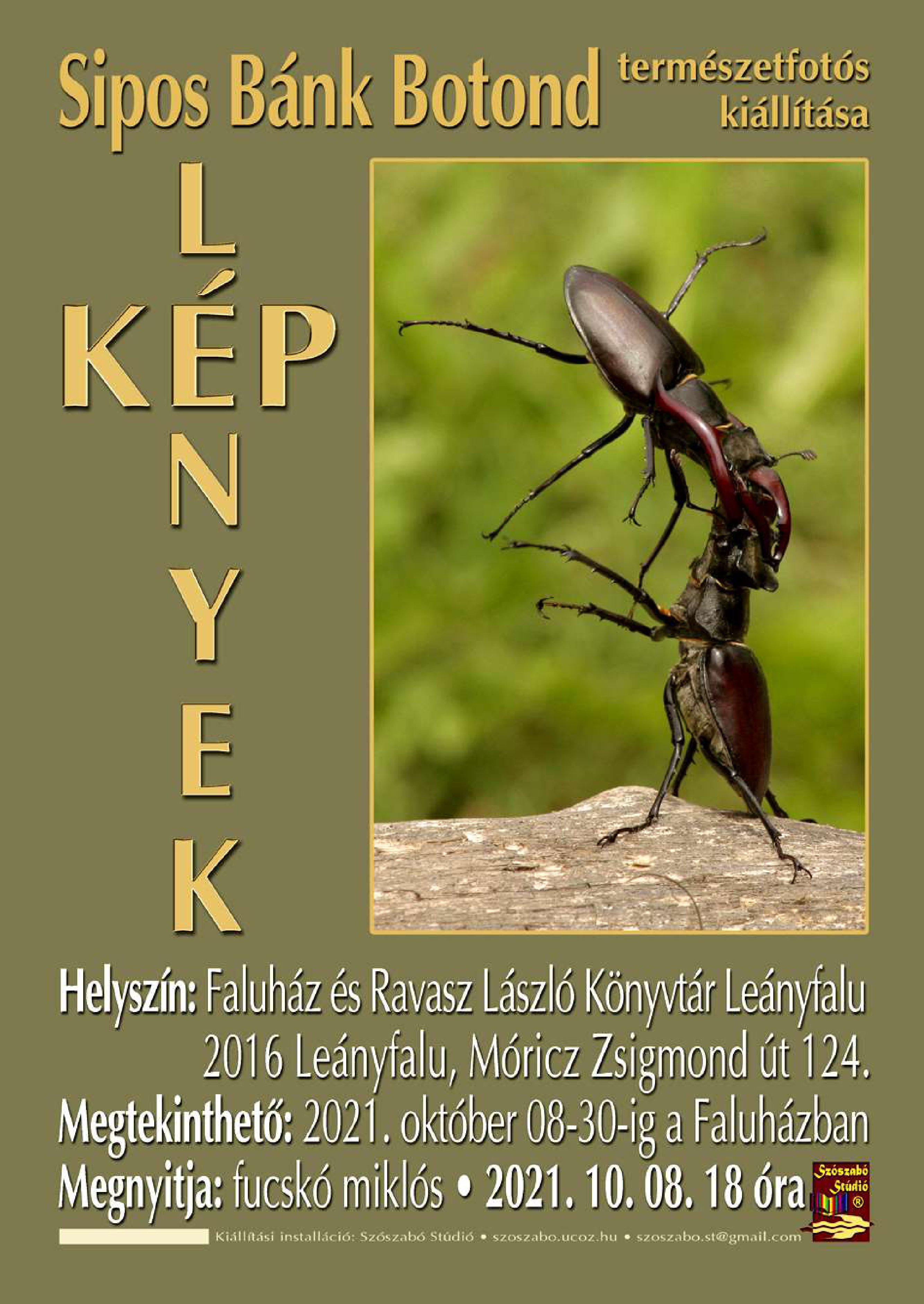 Kiállítás meghívó: Sipos Bánk Botond – Képlények – Magyar Rovartani Társaság